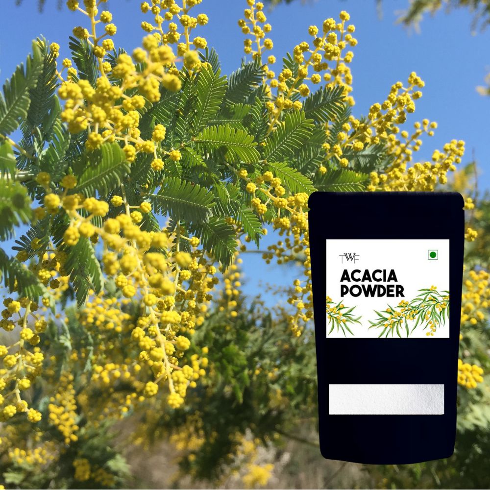 TWF Acacia Powder – TWF Flours
